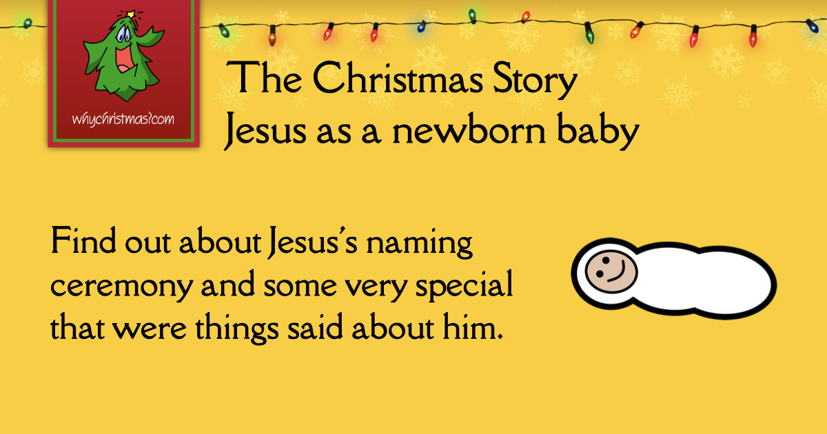 Jesus as a New Born in The Christmas Story - WhyChristmas.com